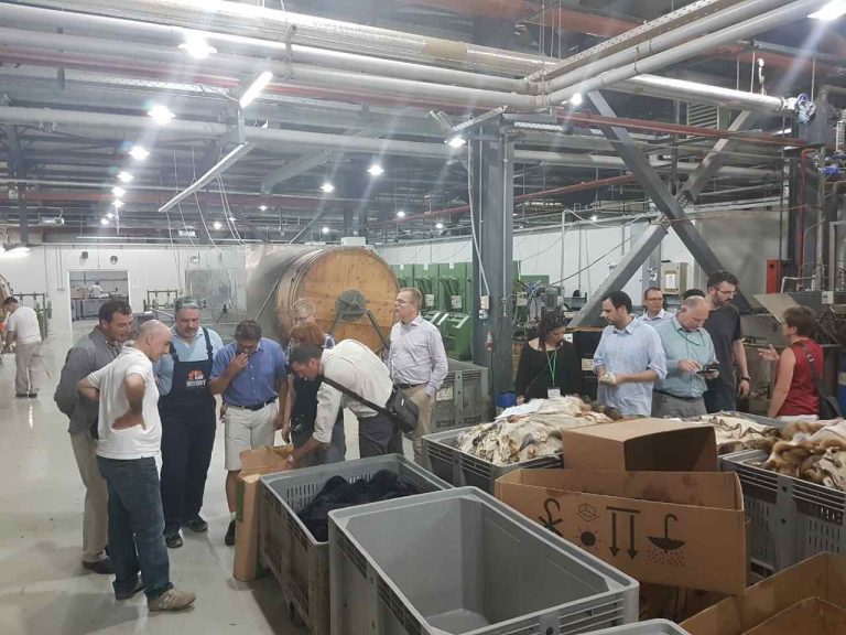 Study visit to DTS SA, Kastoria, Greece | SecureChain